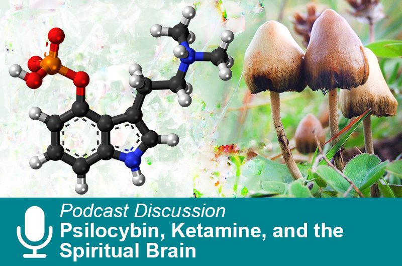 Psilocybin, Ketamine, and the Spiritual Brain | 2020-02-04 | CARLAT ...