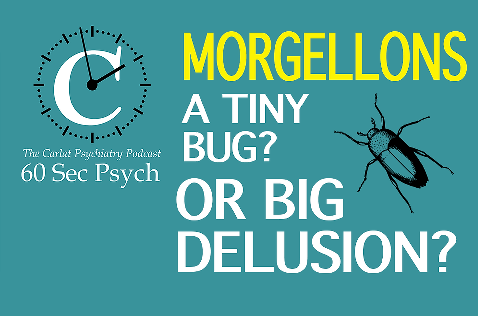 morgellons disease 2024